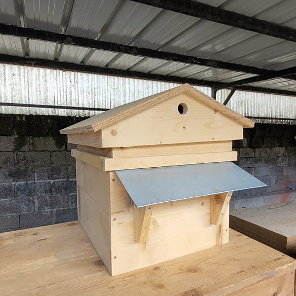 Ruche dadant 10 cadres - Fondation AJD